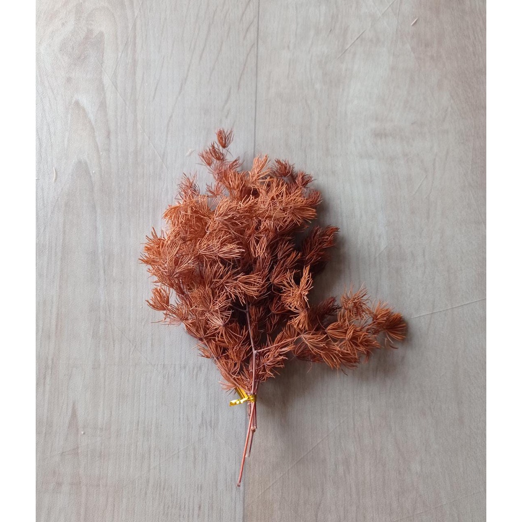 Jual Bunga Asparagus Bintang 5 gram Serba 15 Ribu | Shopee Indonesia