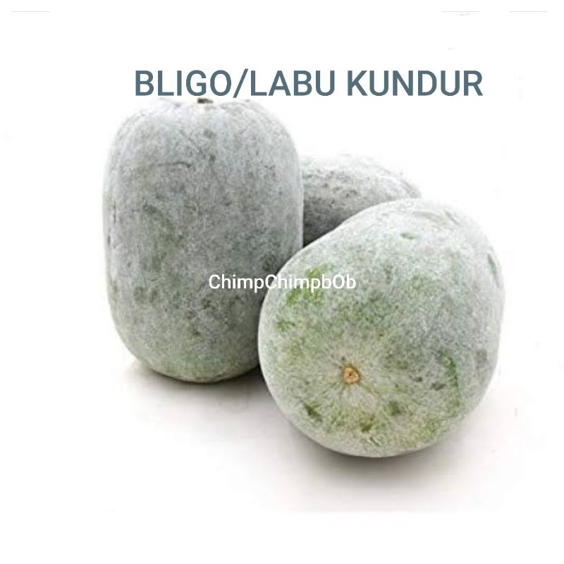Jual LABU KUNDUR / SAYUR BLIGO SEGAR 1 PCS | Shopee Indonesia
