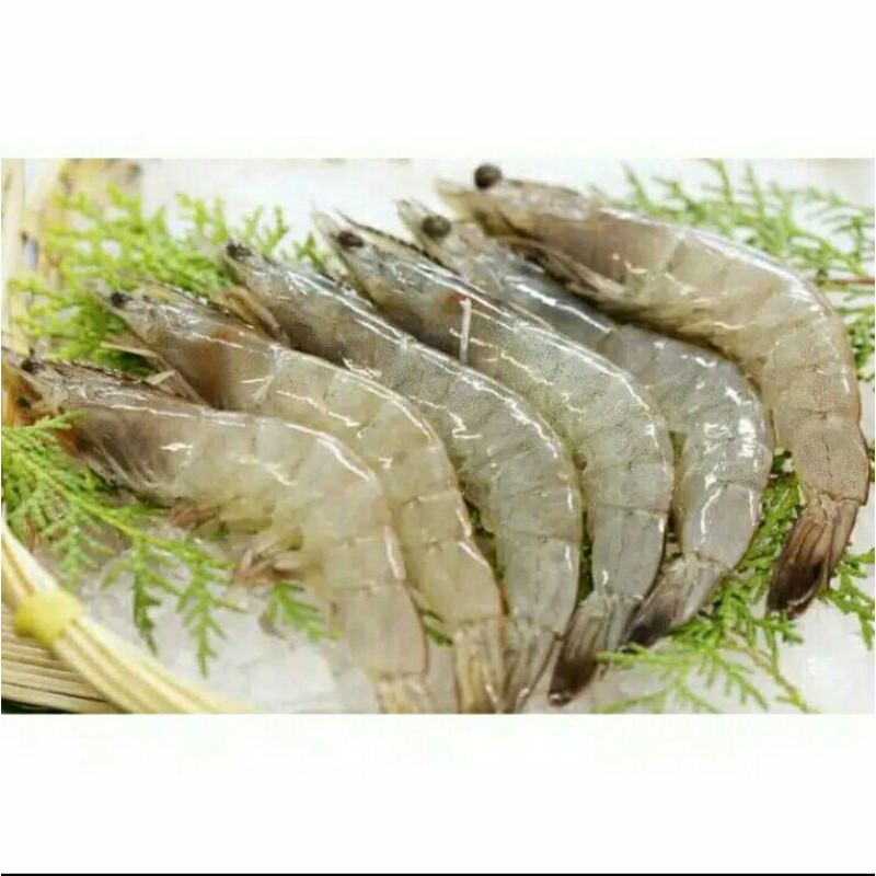 Jual Puri Segar Shop, Udang Segar Size Sedang / 250 Gram - 500 Gram ...
