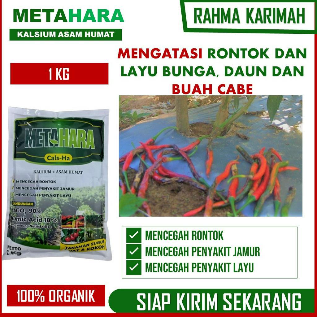 Jual (TERBARU) 1KG METAHARA Pupuk Kalsium Cabai / Cabe Anti Rontok dan ...