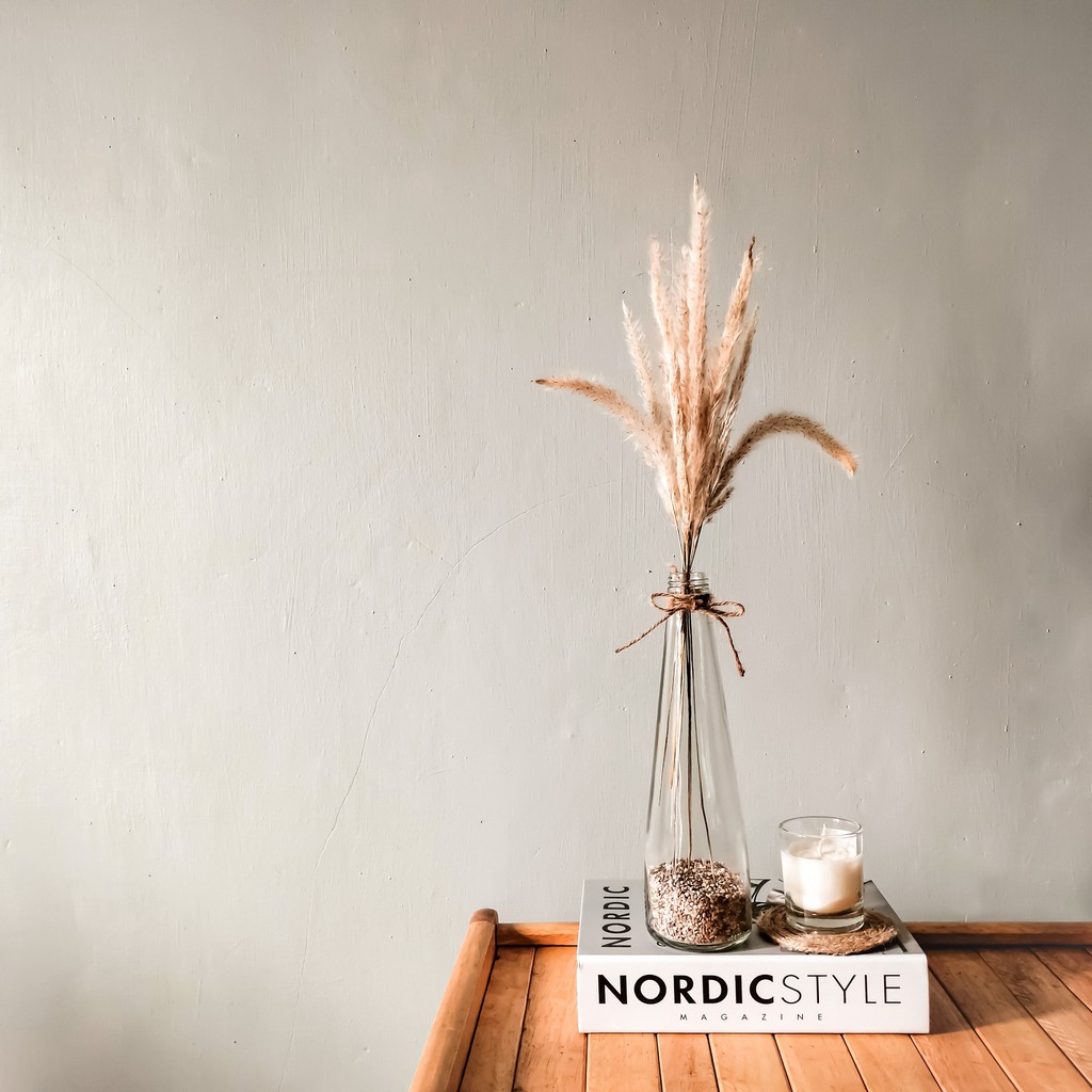 Jual 1 set bunga aesthetic scandinavian bunga kering dried flower ...