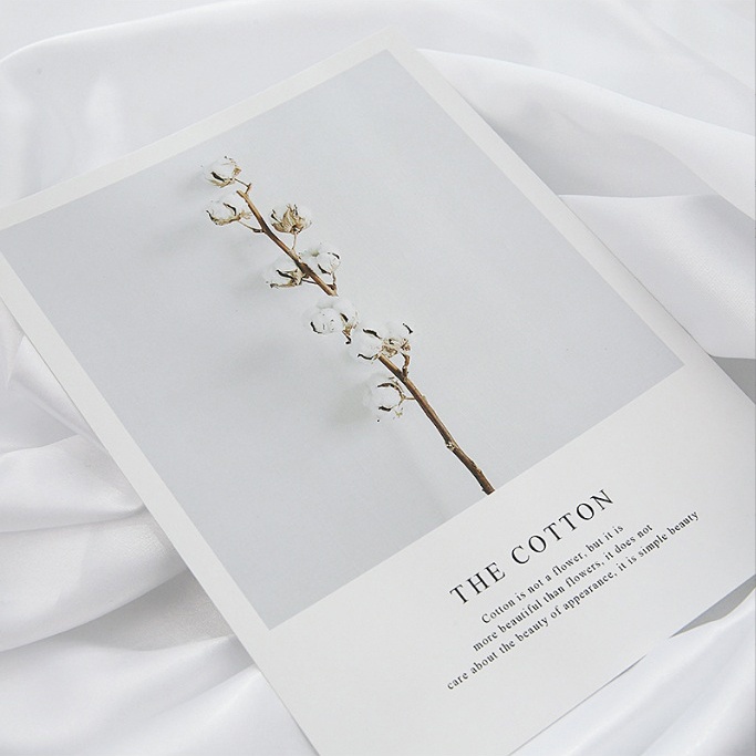 Jual [15x20cm] Properti Foto Majalah (Satu Halaman) Prop Foto Layout ...