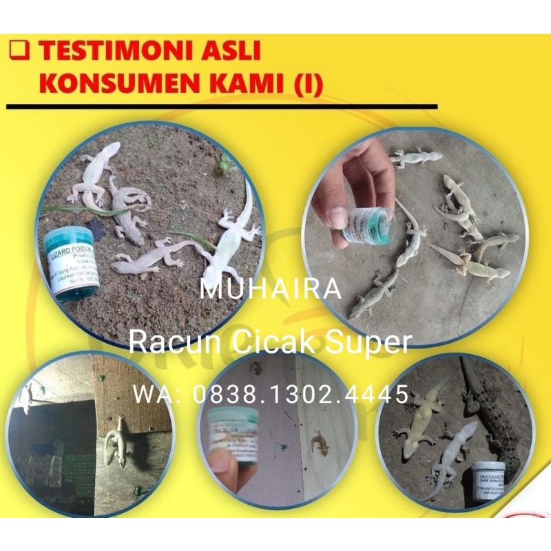 Jual Racun Cicak Super Ampuh - Racak Super - Cicak Mati - Racak Racun ...