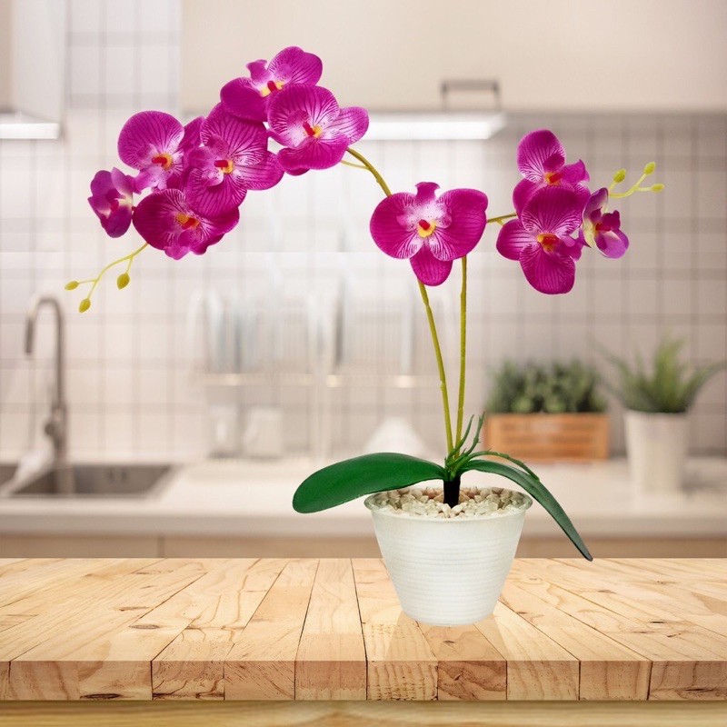 Jual ARTIFICIAL DEKORASI RANGKAIAN BUNGA ANGGREK BULAN | Shopee Indonesia