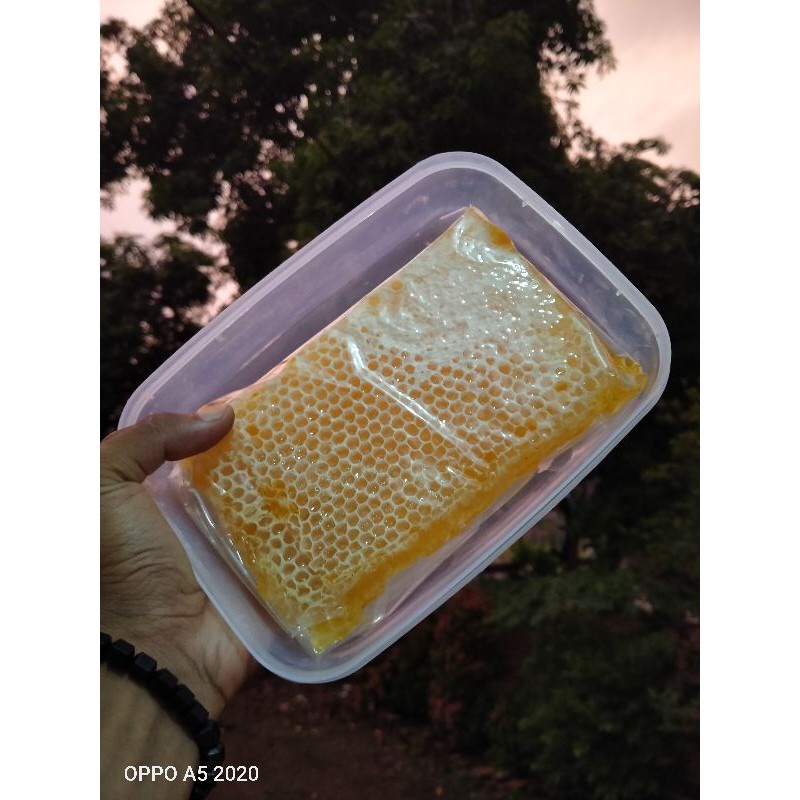 Jual SARANG MADU / MADU SARANG MADU MURNI NEKTAR BUNGA MULTIFLORA ...