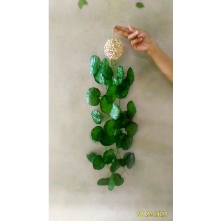 Jual Daun rambat bola rotan bunga hias artificial imitasi palsu plastik ...