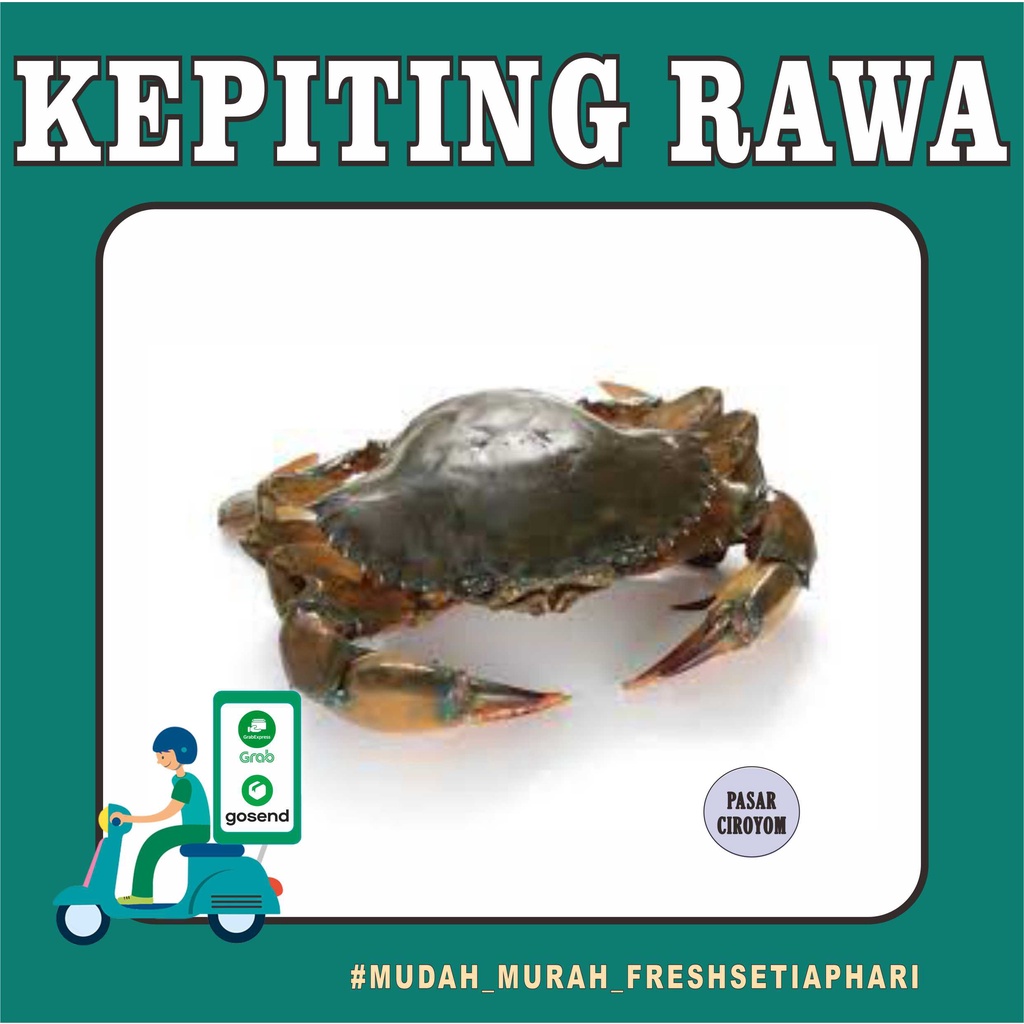 Jual KEPITING BAKAU / KEPITING RAWA / KEPITING DAGING FRESH MURAH ...