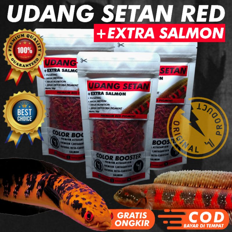 Jual UDANG KERING SETAN RED PAKAN IKAN CHANNA | Shopee Indonesia