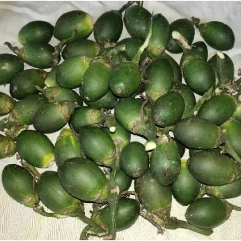 Jual buah pinang muda segar obat herbal | Shopee Indonesia
