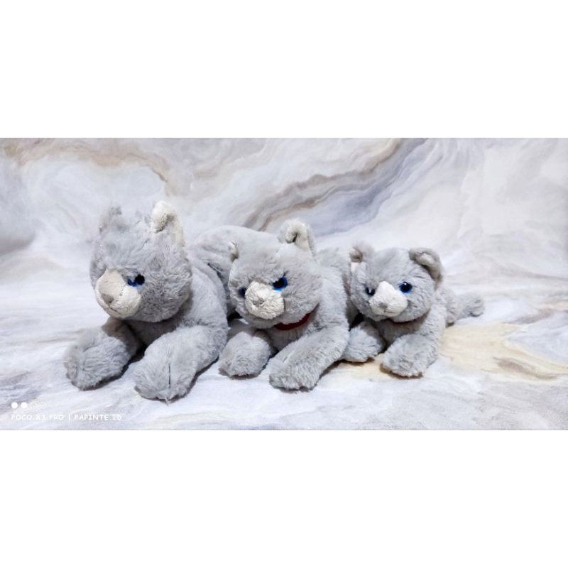 Jual sunlemon sitting cat lap real grey | Shopee Indonesia