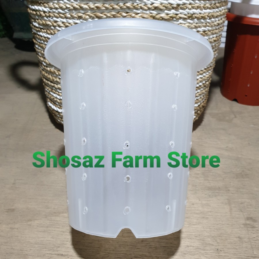 Jual Pot Bunga Yogap YPT 25 BENING Transparan BERLUBANG | Shopee Indonesia