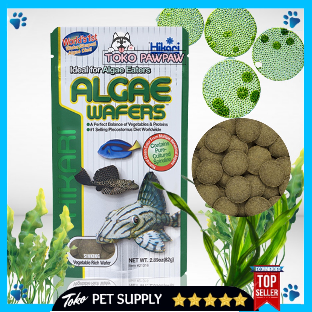 Jual HIKARI ALGAE WAFERS 82GR Pakan Ikan Pelet Ikan Makanan Ikan Pleco ...