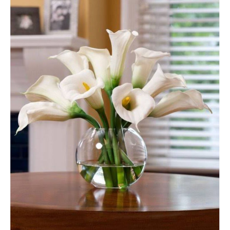 Jual Bunga CallaLilyPutih, Calla Lily white Original 5 batang/bunga ...