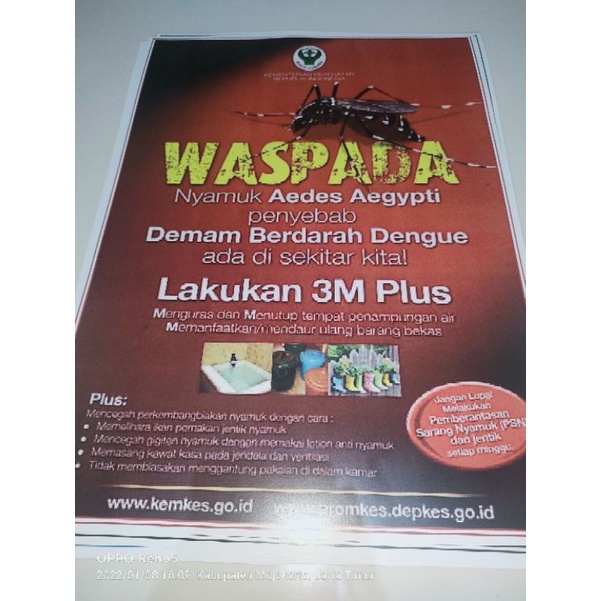 Jual Poster Waspada Nyamuk Aedes Aegypti Laminating New 2020 | Shopee ...