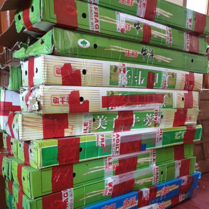 Jual AKAR GOBO BURDOCK KETELA JEPANG !! | Shopee Indonesia