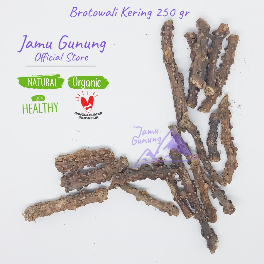 Jual Brotowali Kering 250gr / Bratawali Kering Asli Hutan Gunung Kidul ...