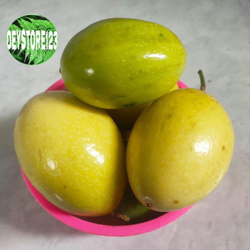 Jual Buah markisa saprola 1 kg | Shopee Indonesia