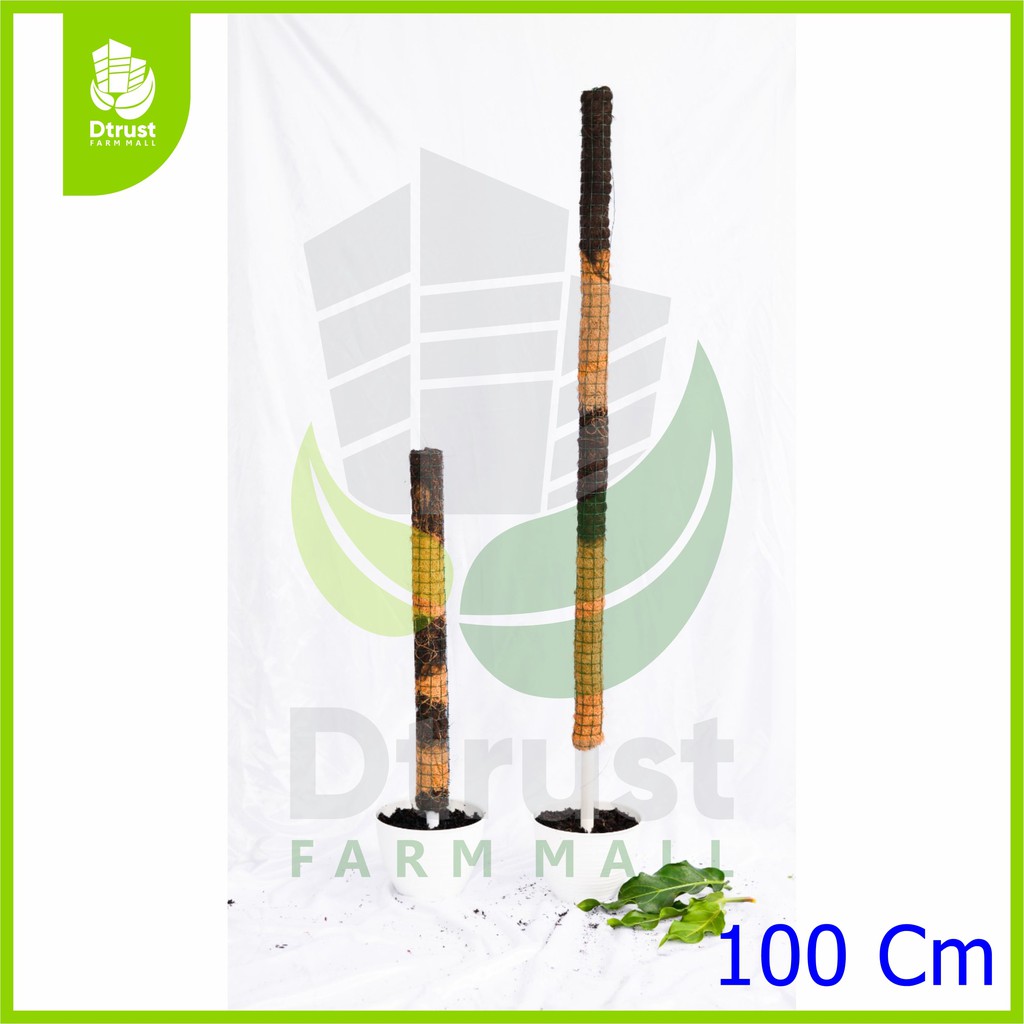 Jual Turus Penyangga Tanaman Cocofiber + Injuk Pipa 100 cm Lapis Sabut ...