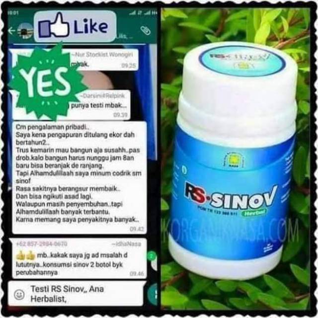 Jual Sinov nasa | Shopee Indonesia