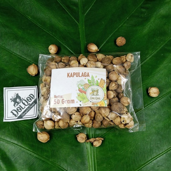 Jual kapulaga Kapolaga Kapol jawa 50 gram termurah | Shopee Indonesia