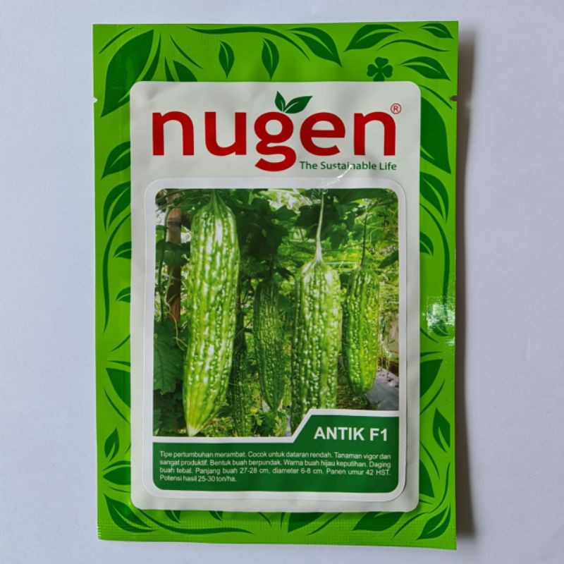 Jual Isi 10gr Bibit Benih Pare Paria Hibrida ANTIK F1 Biji Pare ...