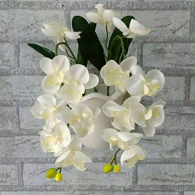 Jual Bunga anggrek putih artificial pot dinding | Shopee Indonesia