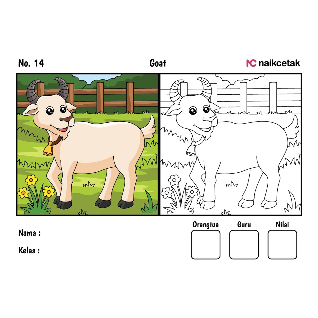 Jual GAMBAR & SKETSA MEWARNAI - TEMA FARM ANIMALS | Shopee Indonesia