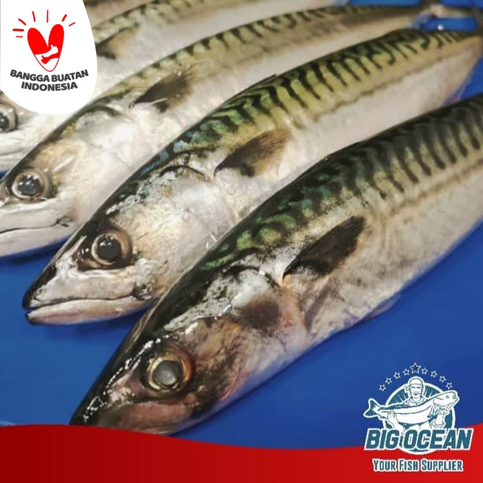 Jual Ikan Makarel | Saba Fish @500gr | Shopee Indonesia