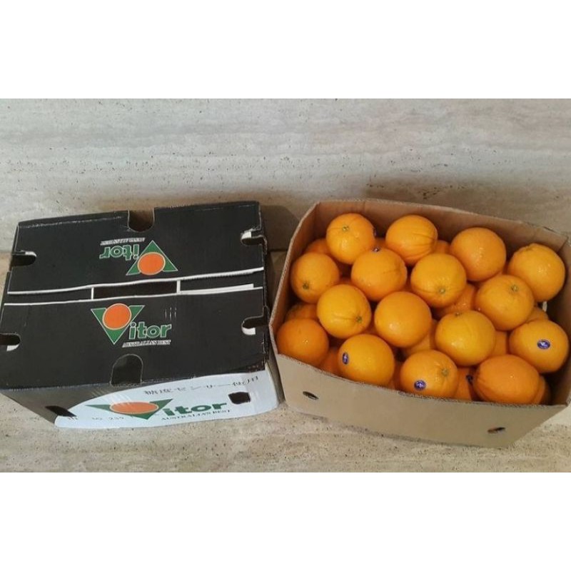 Jual jeruk sunkist navel australia 1dus[19kg] | Shopee Indonesia