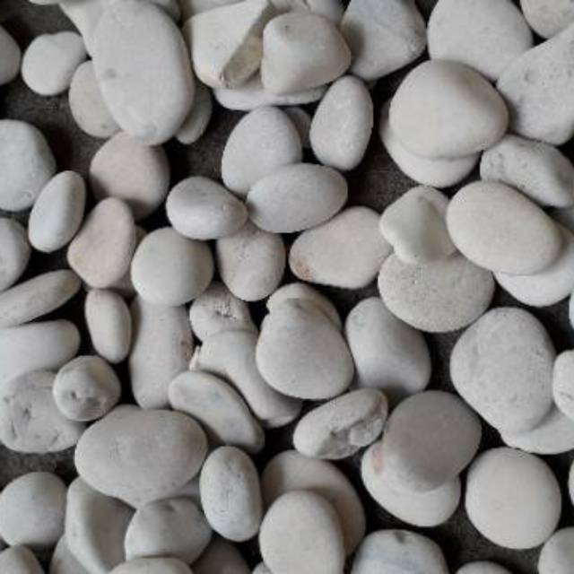 Jual Batu Koral Kupang Putih – 1 Kg | Shopee Indonesia
