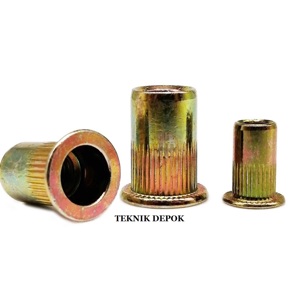 Jual Mur Rivet m 10 x 16 mm Head Blind Nut Rivetnut Mur Bibir Tanam ...