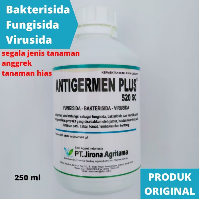 Jual Antigermen plus ori 520 SC 250 ml fungisida bakterisida virusida ...
