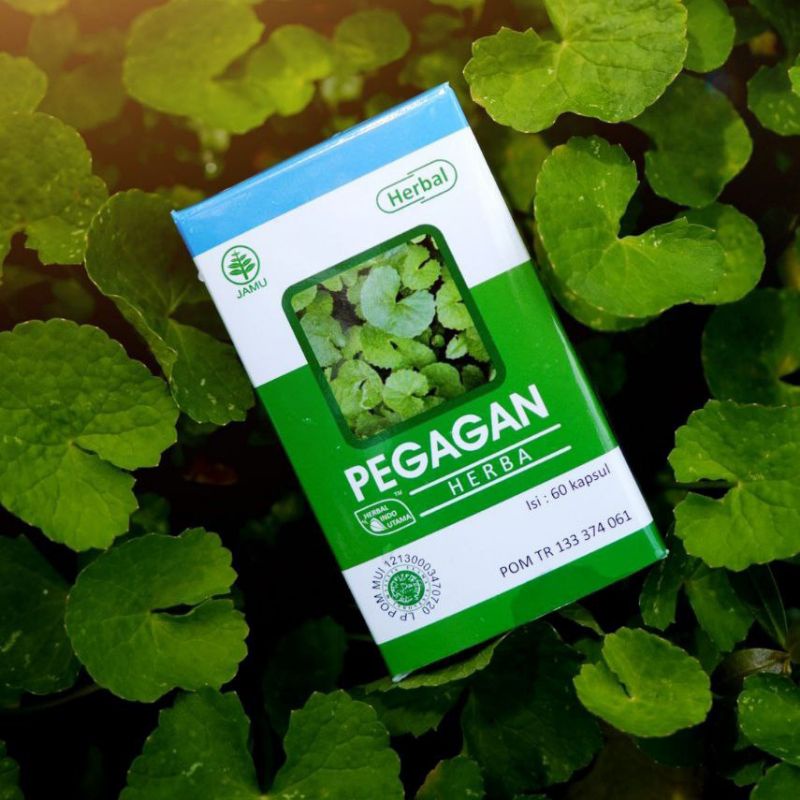 Jual PEGAGAN Herbal Indo Utama HIU - Kapsul ekstrak Herba Pegagan Gotu ...
