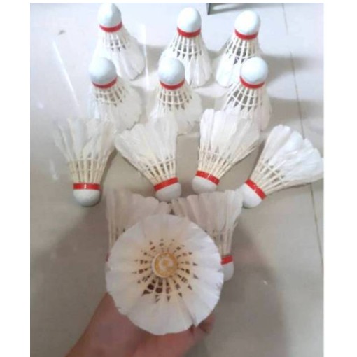 Jual Bola kok badminton bulutangkis/badminto shuttlecocks | Shopee ...