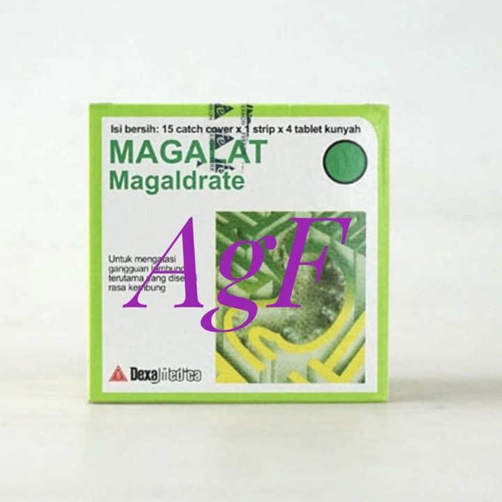 Jual Magalat Tab isi 30 (Ferron) | Shopee Indonesia