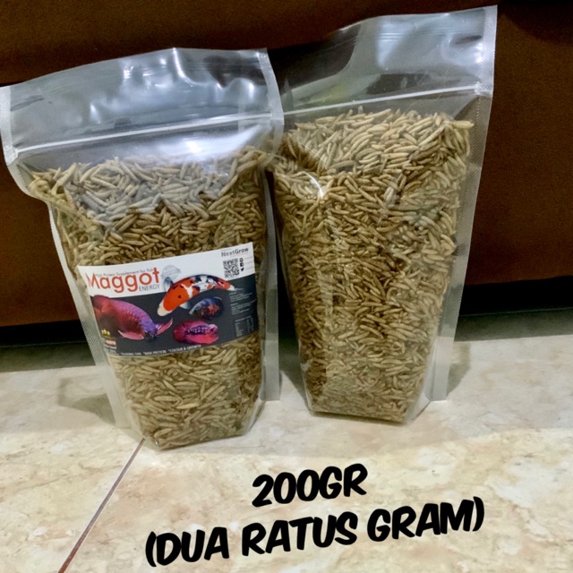 Jual Maggot Energy/ Dried Maggot/ Maggot Kering/ Black Soldier Fly (BSF ...