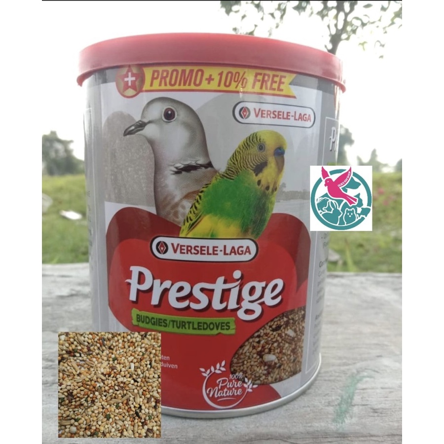 Jual PRESTIGE PARKIT BUDGIES DERKUKU 275 GRAM MAKANAN BURUNG PARKIT ...