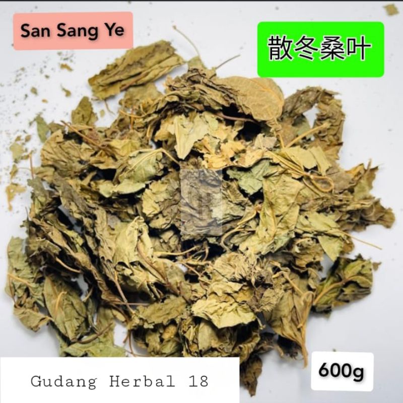 Jual 600 G GR GRAM SANG YE 冬桑叶 WHITE MULBERRY LEAF LEAVES FOLIUM MORI ...