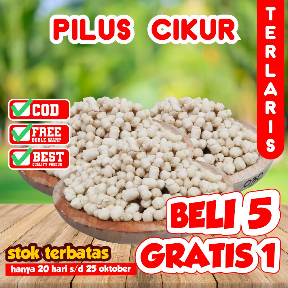 Jual PILUS CIKUR 1KG / TOPING BASO ACI / CAMILAN / PILUS ASLI / Pilus ...