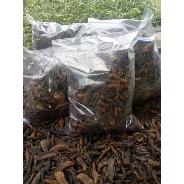 Jual teripang /timun laut kering tawar | Shopee Indonesia