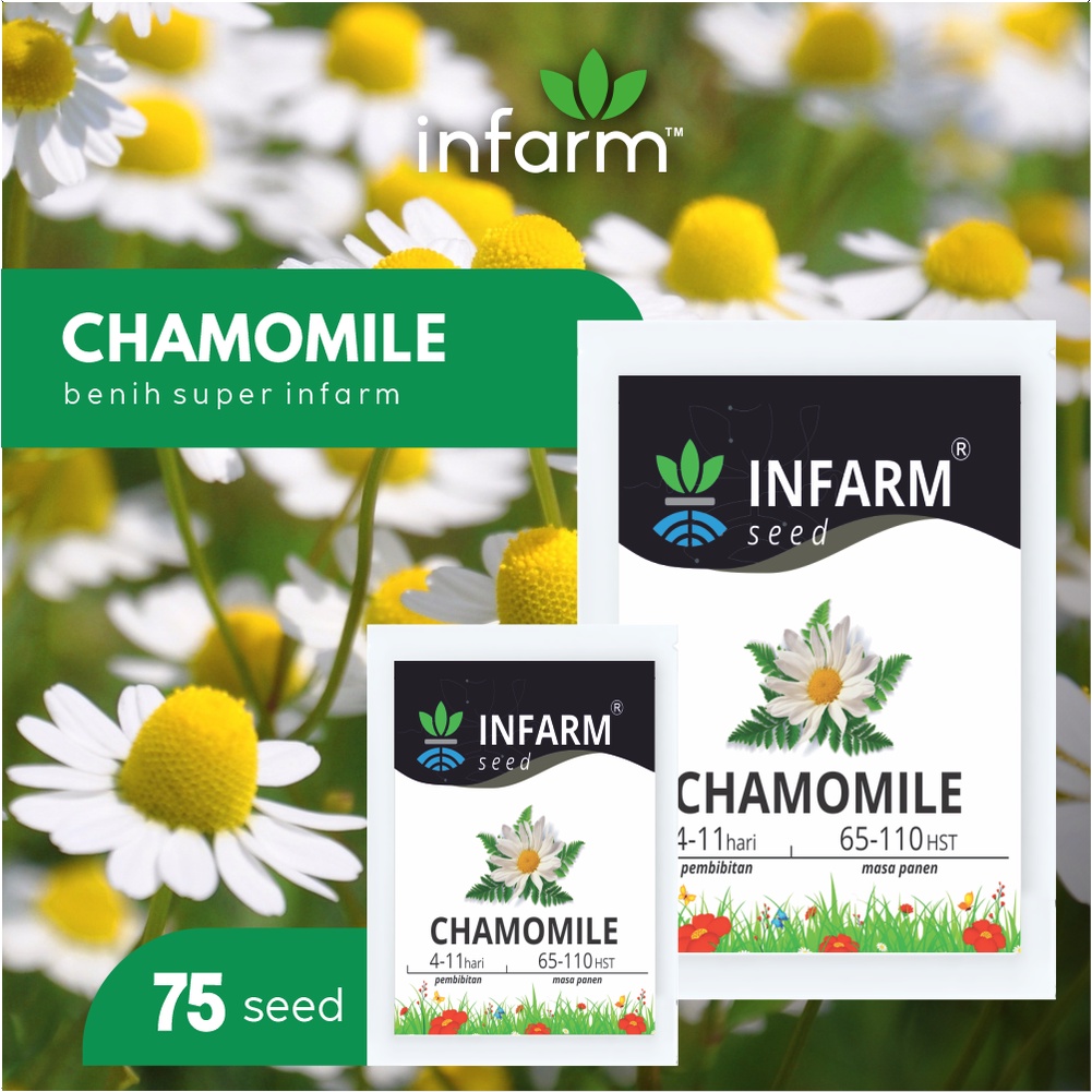 Jual INFARM - Benih Biji Bibit Super Bunga Germany Chamomile | Shopee ...
