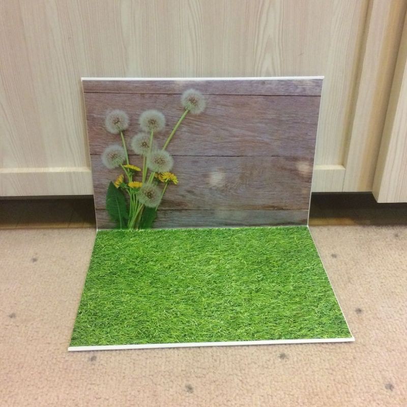 Jual Alas Foto Background Motif Bunga ukuran A1 (90x60cm) | Shopee ...
