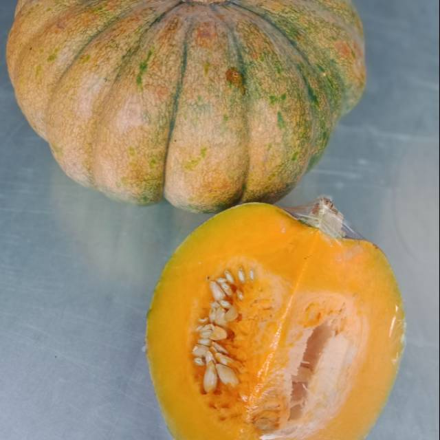 Jual Labu Parang | Shopee Indonesia