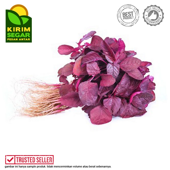 Jual Bayam Merah / Sayur Bayam Merah / Daun Bayam Merah /red spinach ...