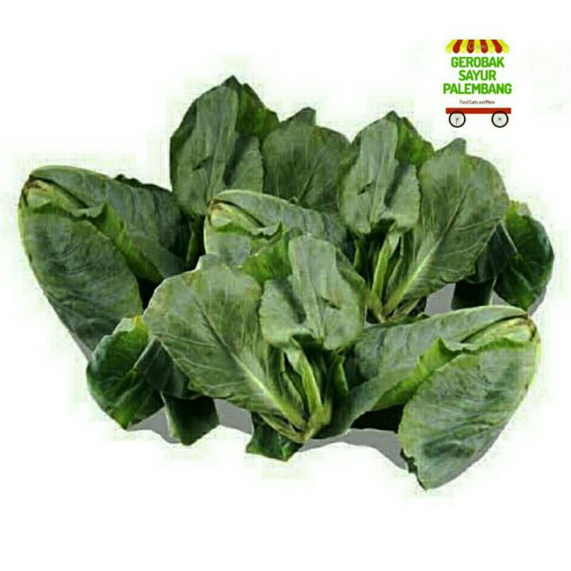 Jual Baby Kailan Cuciwis 250 gr - Gerobak Sayur Palembang | Shopee ...