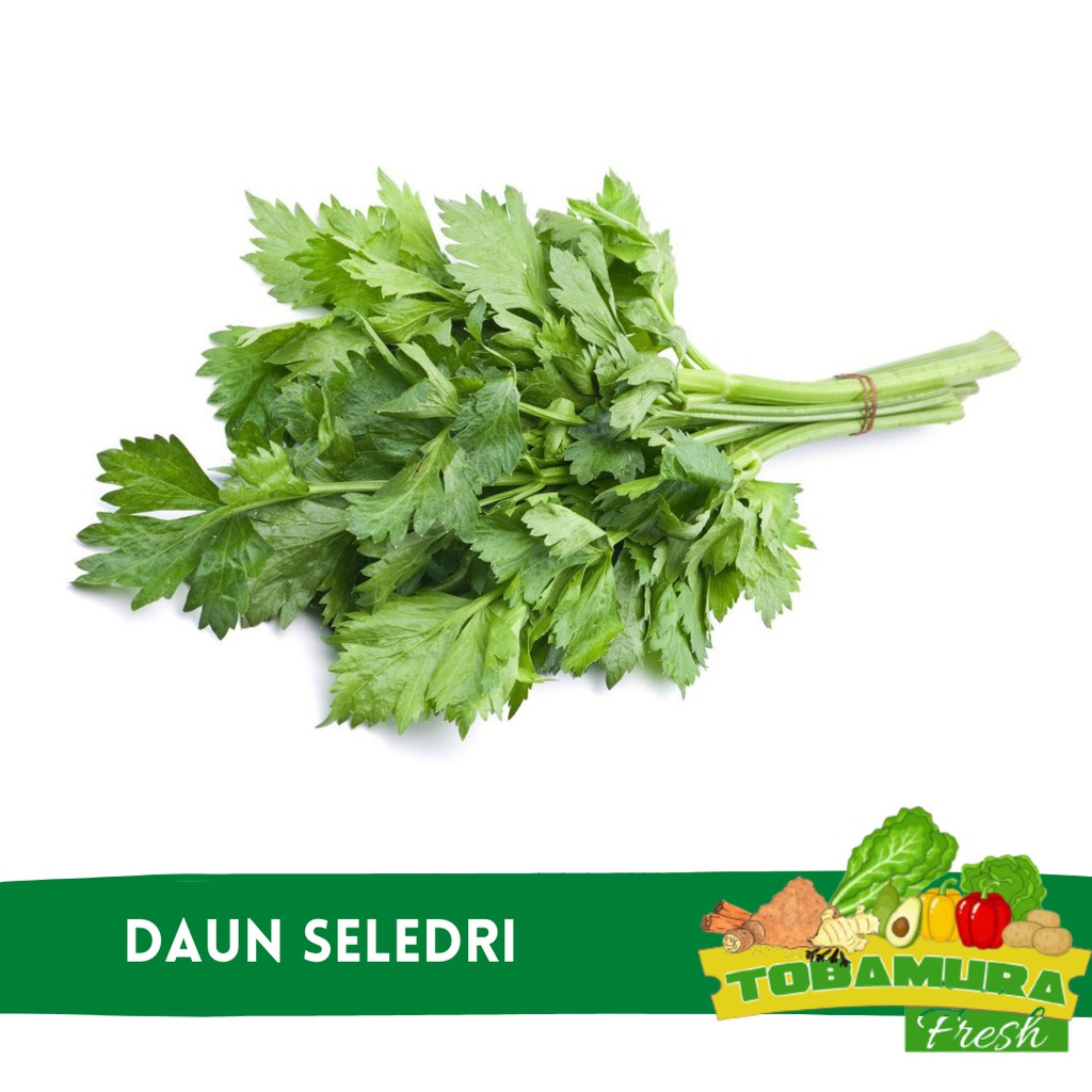 Jual Daun Seledri Lokal 100 gr (Tobamura Fresh) | Shopee Indonesia