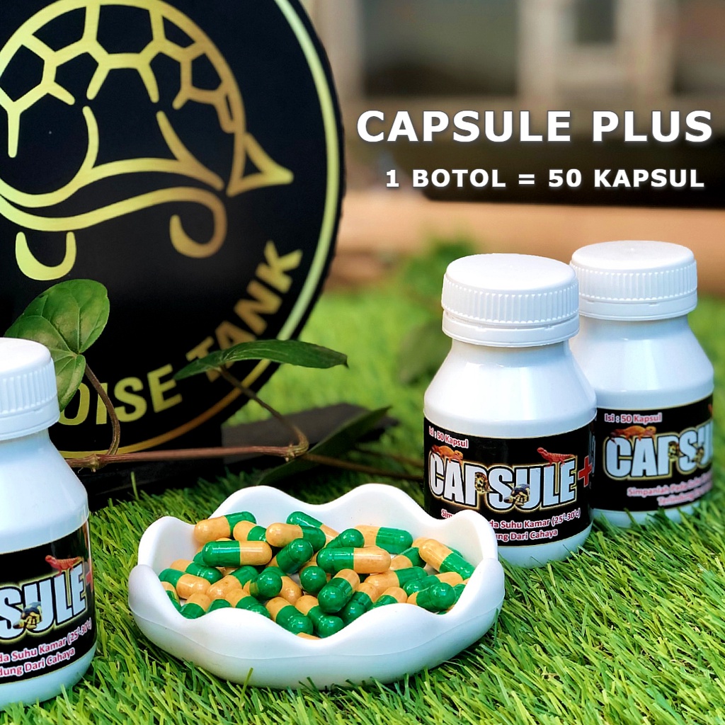 Jual Capsule dan obat, vitamin kura-kura, pilek | Shopee Indonesia