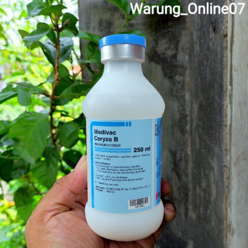 Jual Vaksin Medivac Coryza B Netto 250ml Dosis 500 Ekor Vaksin Ayam ...