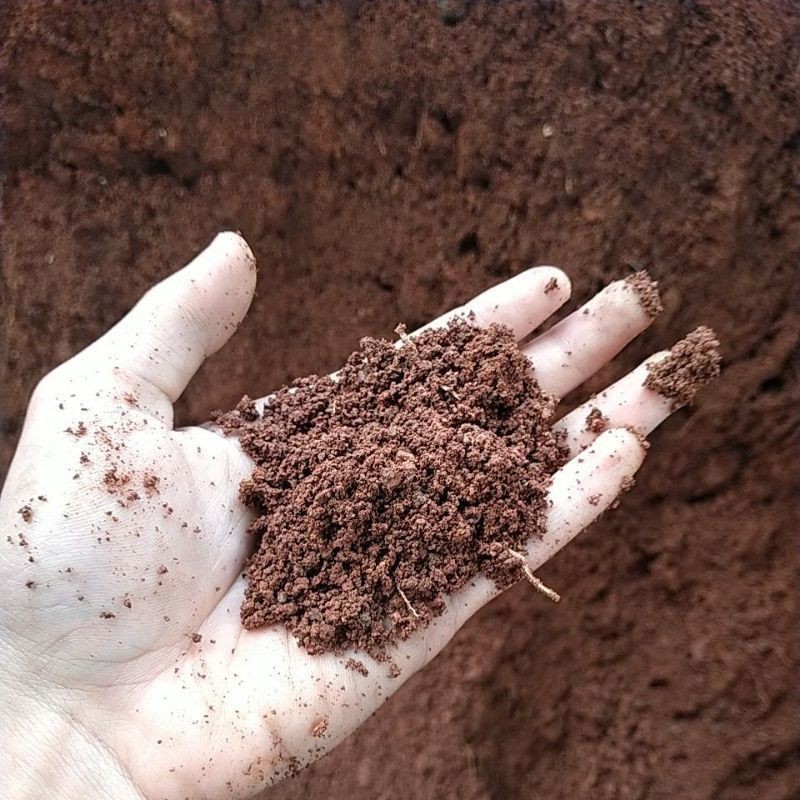 Jual tanah merah/tanah taman 1kg | Shopee Indonesia