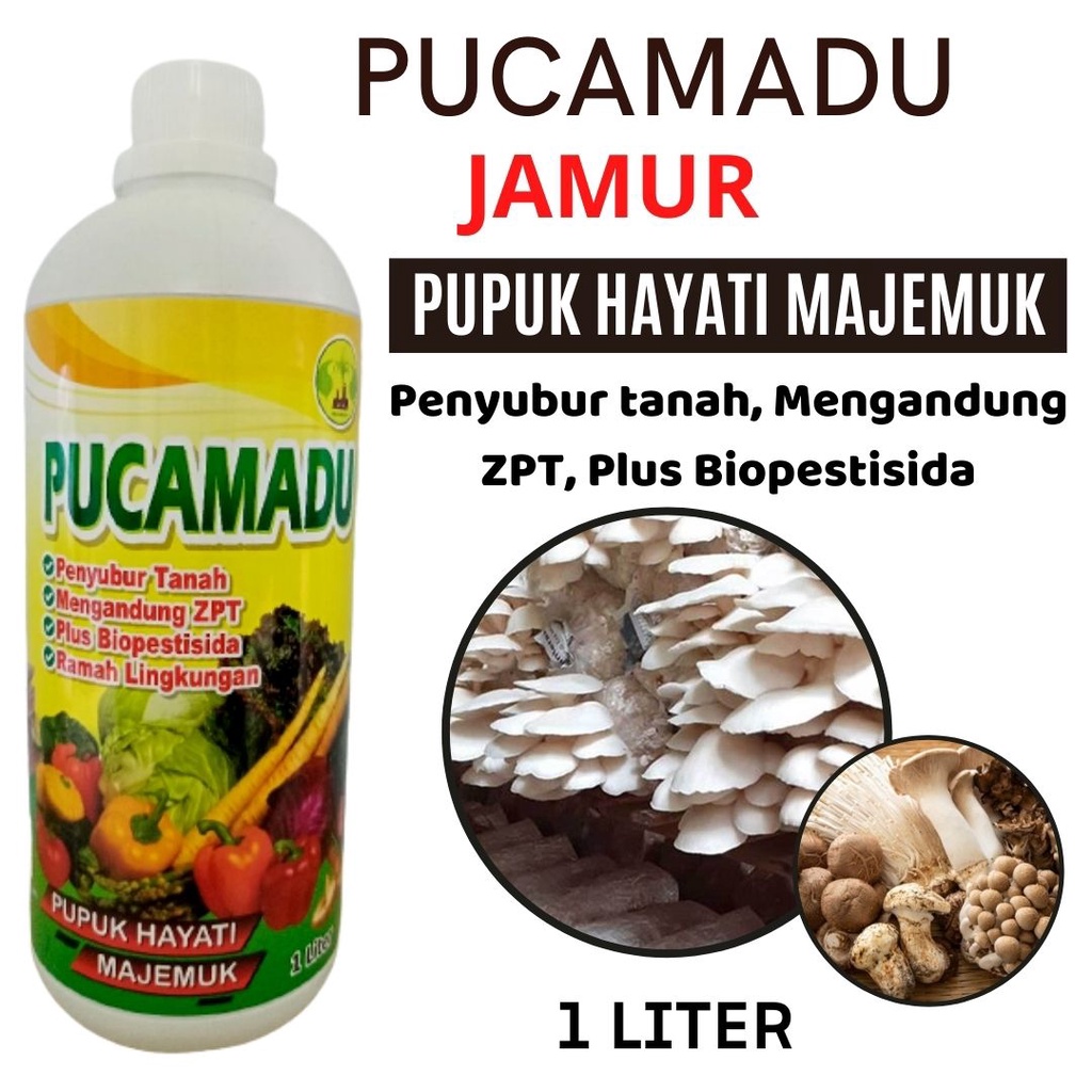 Jual Pupuk Pelebat Jamur Tiram, Pucamadu Pupuk Hayati Jamur Jakaba 1 ...